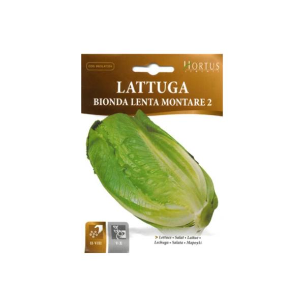 ロメインレタス・ビオンダレンタモンターレ２「Bionda lenta montare」はイタリア語で“ゆっくりトウ立ちする淡い色”の意味です。シーザーサラダなどで人気のロメインレタスHortus社の伝統品種で、家庭菜園でも育てやすい半結球性...