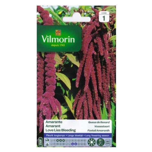 紐状の花穂が下垂し揺れ動く姿がユニークでダイナミックなガーデンや花壇の植栽にぴったりです。比較的、石灰質土壌を好む傾向にあります。＊アマランサスというと食用のものもありますが、こちらはあくまでも観賞用としてご利用下さい。種まき：2-4月　収...