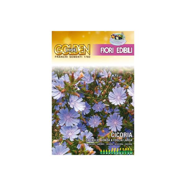 澄み渡るようなブルーのキク科特有の花からは、清楚でクラシックな雰囲気が漂います。エディブルフラワーとしてご利用の場合には、葉は摘まずに育てて下さい。ブルーという色はなかなか植物に無いため、エディブルフラワーの１色として、たいへん効果的にお使...