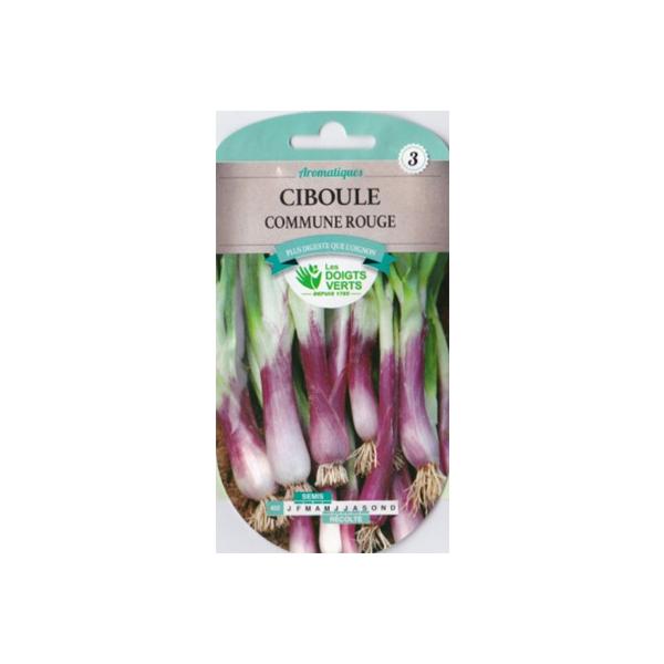 【シブールルージュ】フランスには特に、いろんな種類のオニオンやネギがありますね！こちらシブールルージュはワケギの仲間のようです。根に近い通常、白い部分がワイン色に染まった美しい貴婦人の様なネギです。　小口切りにして、サラダや、グリルした肉や...