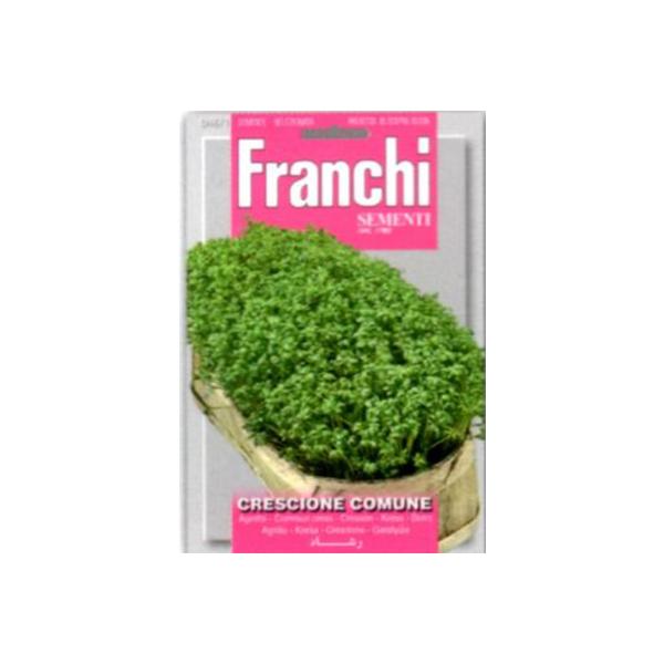 さわやかな香りが特長のハーブで、欧州料理で幅広く利用されます。コモンクレスは、ほぼ一年中栽培・収穫ができる万能ハーブ。種まきから約1ヶ月で収穫でき、サラダや料理の彩り、香り付けに大活躍します。室内でも簡単に育てられ、アロマティックサラダや付...