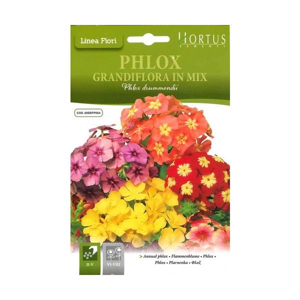 栽培は比較的容易で、強健な一年草です。日当たり良く風通しのいい場所に植えるのが成功の秘訣です！草丈30-40cm、小さな花がこんもりとまとまって、茎の上方に付きます。本種子はミックス種子で、多色の花びらが楽しめます。◆種まき：3-4月◆開花...