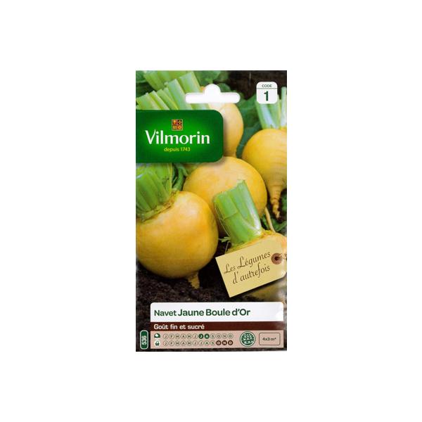 ターニップ・Jaune Boule d'Or秋収穫に向くターニップで、表皮も果肉も鮮やかな美しい黄色です！甘みがあり、あっさりとしたクセのない味です。　サラダはもちろん、マリネや前菜の彩り、付け合わせにと幅広く使えます。種まき：7-8月収穫...