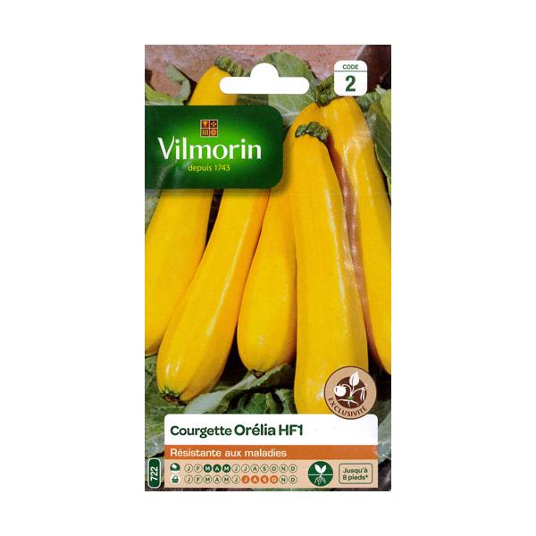 美しい黄色の表皮に柔らかく歯ごたえのある果肉はフランスの美食家たちにも好まれるクオリティーの高い品種です。また、雄花はフリッターとして使われます。日本の梅雨時が苦手です。梅雨前に収穫、梅雨明けに再び種まきし夏収穫という方法で梅雨の間の栽培を...