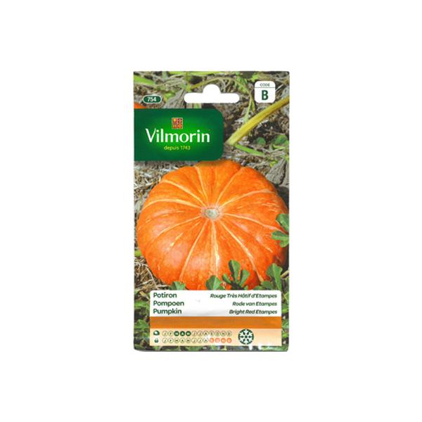パンプキン・Rouge Vif d'Etampes早生種で表皮、果肉とも赤に近い濃いオレンジ色の大きな果実が実ります。長期保存ができるため、フランスの冬のたくさんの料理に欠かせないパンプキンです☆特にスープに一押し！その他ローストポークやロ...