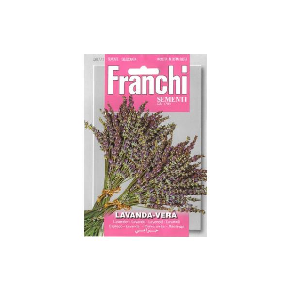 ラベンダー・ヴェラ（Lavanda Vera／固定種）※「Vera」は「真性の・本物の」の意。芳香性が高いラベンダー種ですヨーロッパでも広く親しまれる香り高き宿根ハーブ。FRANCHI社の固定種で、香り・見た目ともに優れた人気品種です。日当...