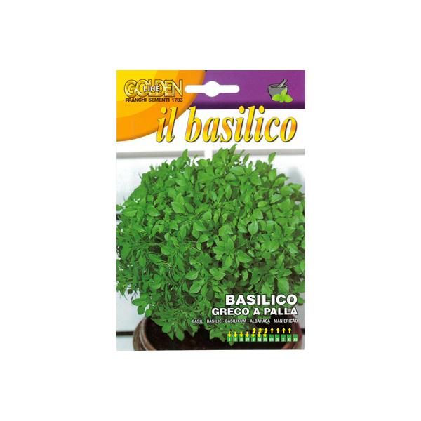 バジル・グレコ・ア・パッラ（Basilico Greco a Palla）※「Greco a Palla」は「球状に育つギリシャのバジル」の意味です。ギリシャ原産の珍しい品種で、丸く整った美しい樹形と、小さなネズミの耳のようなダークグリーン...