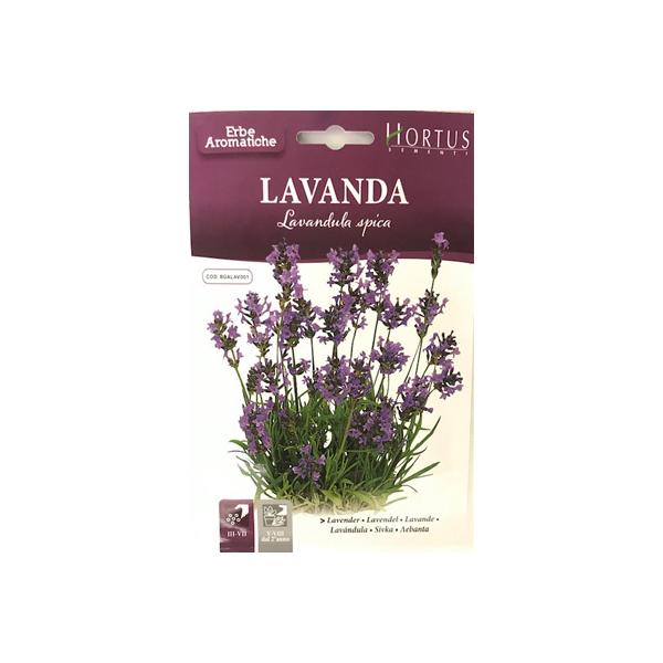 シソ科　常緑小低木●種まき3〜4 9〜10月●収穫 葉・茎 5〜10月●花 6〜7月(翌年)●種 7〜8月冷涼な気候を好み、日当たり、水はけ、風通しが良く肥沃で石灰分を含む土に,発芽をある程度一定にする為に冷蔵庫に約３日位入れ一晩水に浸し、...