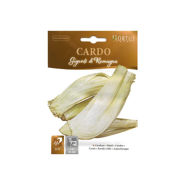 ●種まき　　４〜５月●収穫　　　９〜２月【種まき】日当たり、水はけの良い有機質に富んだ肥沃な土で育苗ポットに点蒔きし1 cmの厚さに覆土します。発芽までの約１週間は表面が乾いたら丁寧に水やりをします。アーティチョークの育て方に準じます。【植...