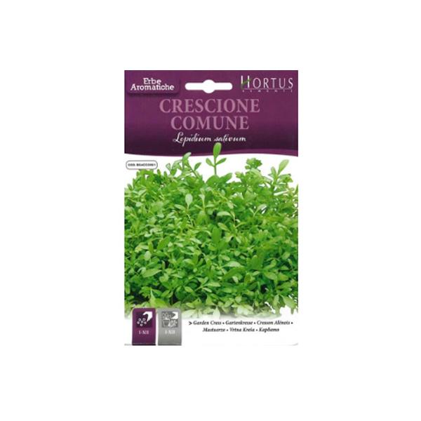ガーデンクレス（Garden Cress）※欧州で人気のスプラウト系ハーブで、「カイワレのようなピリ辛風味」として親しまれていますヨーロッパで人気のスプラウト系ハーブ、ガーデンクレス栽培も簡単、室内でも手軽に楽しめる万能野菜です爽やかな辛み...