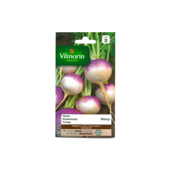 ■ 読み・品種名ターニップ・ド・ナンシー（Turnip de Nancy）※フランスのナンシー地方で親しまれる、冬向きの大玉カブです。Vilmorin社の固定種「ターニップ・de Nancy」は、寒さに非常に強い晩秋〜冬収穫向けの大玉カブ品...