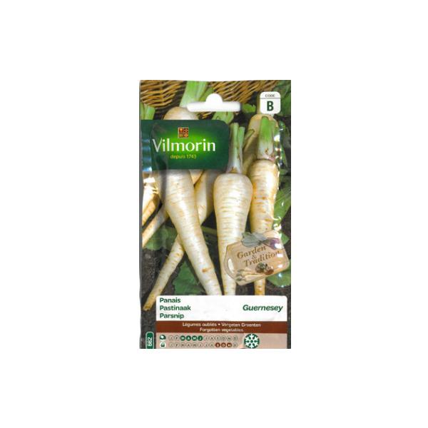 ニンジンの仲間で、この品種は古くから栽培されている品種です。表皮が滑らかで、白色の根部が収穫できます。どちらかと言えば、冷涼地での栽培に適しています。ニンジン同様、発芽が比較的難しいため、種まきとその後の管理が肝心です。寒さに当たることで甘...