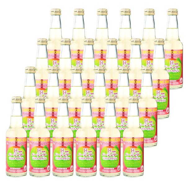 匠バーテンダー家飲みカクテルシリーズの梅ジントニックサワー24本セットです。梅ジントニックサワー自社製クラフトジントニックと自社製梅酒をマリアージュしたクラフトカクテルです。爽やかなジンの風味に梅酒の上品な甘味と酸味が絶妙にマッチしており、...