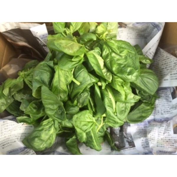 生育不良の為11月17日から一週間お休みします