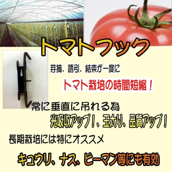 商品ポイント取り付け、取り外し簡単スライドも可能ですので簡単移動！トマト段取りに最適です※仕様が変更になり１箱/1000個入り（バラ）となっております。ご了承ください芽摘、誘引、結束が一度に！トマト栽培の時間短縮に！常に垂直に吊ることが出来...