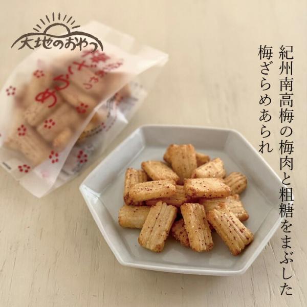 ■￥5,500円 毎に500円券贈呈■大地のおやつ 梅ざらめ 60g■精米したての国産もち米を使い、さくっと香ばしく焼き上げたあられに、紀州南高梅の梅肉と粗糖をまぶしました。■もち米の自然な旨みとともに、梅のさわやかな香りと酸味が広がり、粗...