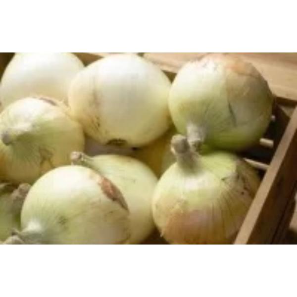 肥料にも農薬にも頼らず、土と太陽の力だけで育った自然栽培の新玉ねぎです。水分をたっぷり含み、みずみずしく、切った瞬間に広がる澄んだ香りとやわらかな甘み。自然栽培ならではの、えぐみの少ない、すっと抜ける後味が特長です。生でそのままスライスすれ...