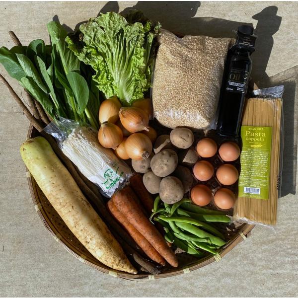 初めての自然栽培　入門基本Bセット　送料無料（5月〜１０月クール便配達）　　ご注意北海道・沖縄は別途送料1,500円がかかります。初めての自然栽培　入門基本Bセット内容　　自然栽培　野菜Lセット　（9品〜11品）野菜はお任せセットになります...