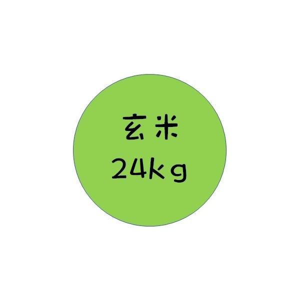 【発売日：2026年10月08日】いのちの壱　玄米24kg