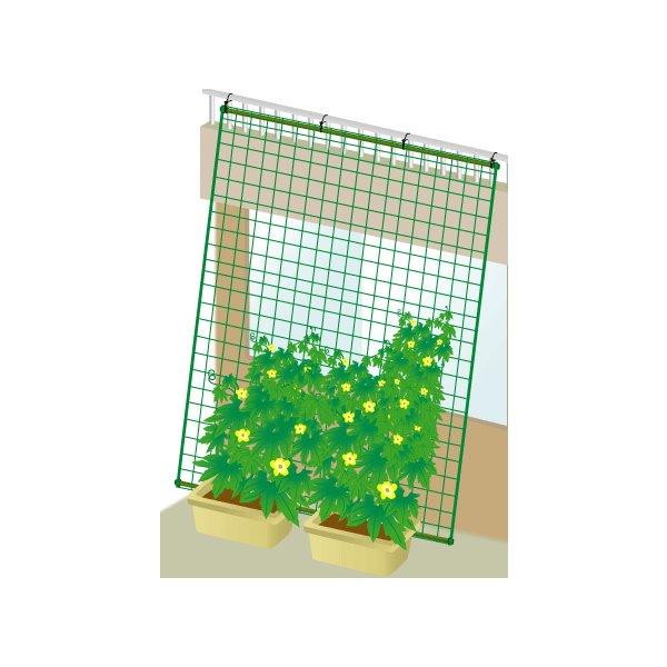 ここがポイント！●吊り下げタイプの5mなので2階まで緑のカーテン効果が期待できます。●アサガオ、クレチマスなどのつる性植物に最適です。●真夏のエアコン使用を抑えることができ、20％〜30％の省エネ効果が期待できます。●赤外線を反射し、葉の気...