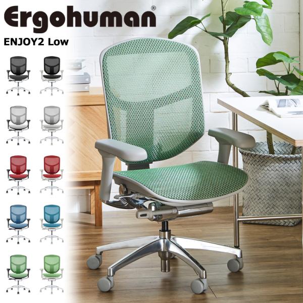 オフィスチェア エルゴヒューマン エンジョイ2 ロータイプ Ergohuman ENJOY2 Low EJ2-LAM 在宅 リモート ヘッドレスト無し新しい座りを体感する一脚。エルゴヒューマンの基本機能を搭載し、ゆるやかな曲線を基調としたす...