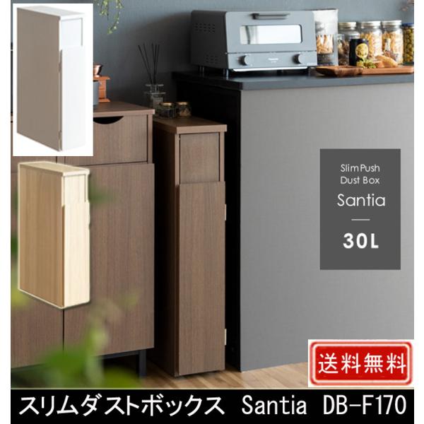 スリムダストボックス Santia（サンティア）DB-F170スリムダストボックス Santia DB-F170スリムダストボックス DB-F170幅わずか17cmでキッチンや洗面所のすき間に置けるプッシュ式スリムダストボックス『Santi...