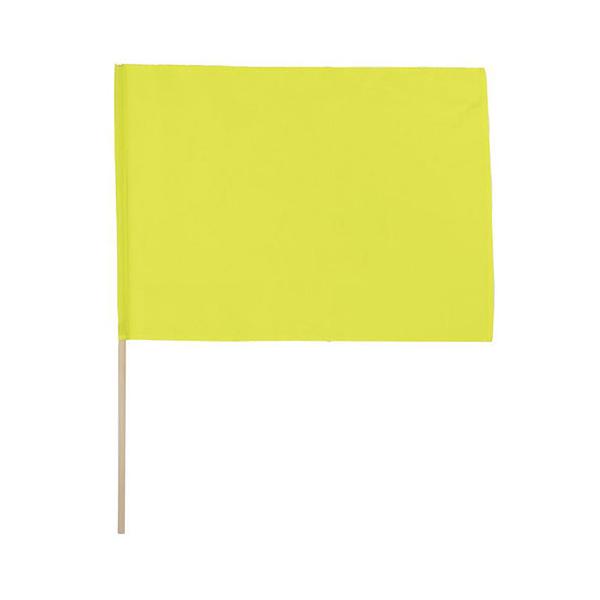 ATC18490        組体操に変わる演目として日本大学体育学科の大旗による集団行動演技が話題!