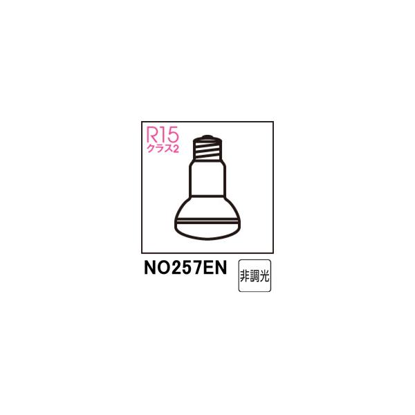 NO257EN         LED電球ミニクリプトンレフ球