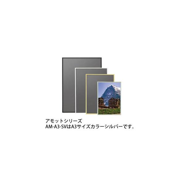 メーカー直送 同梱不可 カード決済のみ対応 沖縄・離島・届け並びに時間指定不可 AMA3SV