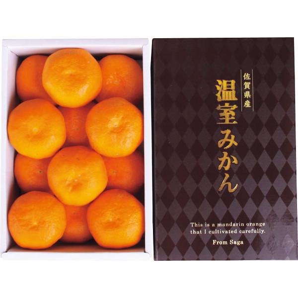 ※天候や収穫状況の影響によりお届けにお時間を頂く場合がございます。 【のし対応不可】【注文後キャンセル不可】【代引不可】【沖縄県及び離島には配送できません】 261012045