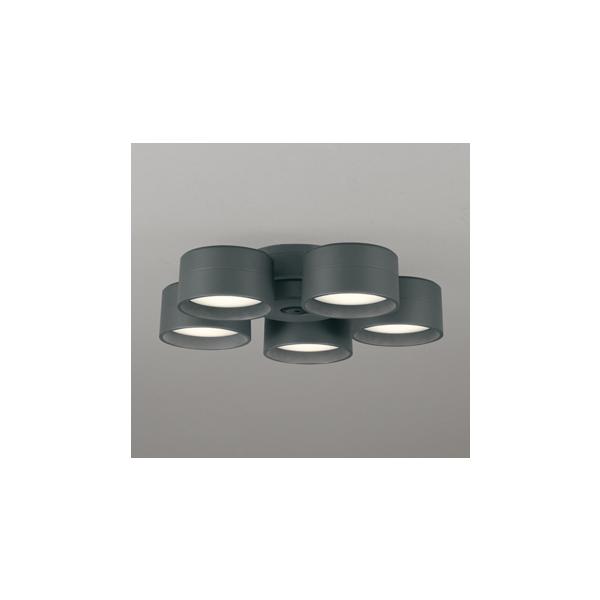 WF290PR         WF247・249P1専用　LED交換可能