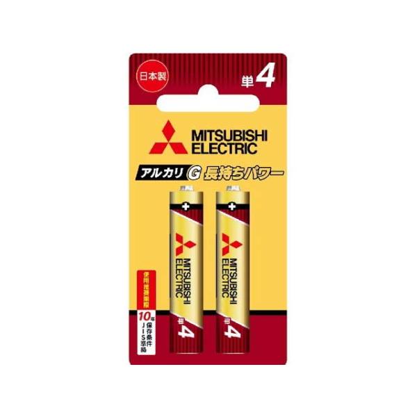 【メール便対応可15個まで】 *LR03GR/2BP     使用推奨期限10年に対応したスタンダートモデル