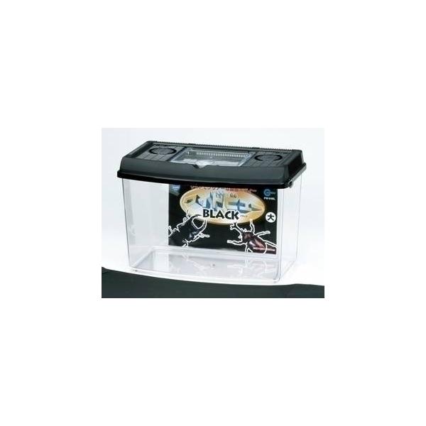 706202000       前面の曲面フォルムで中をワイドに観察