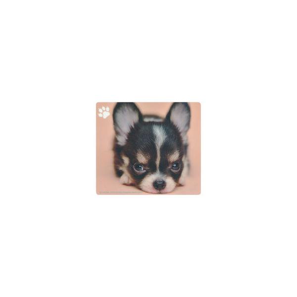 【メール便対応可1個まで】 MPD215C         マウスがスムーズ、SmooZooマウスパッド。チワワ。