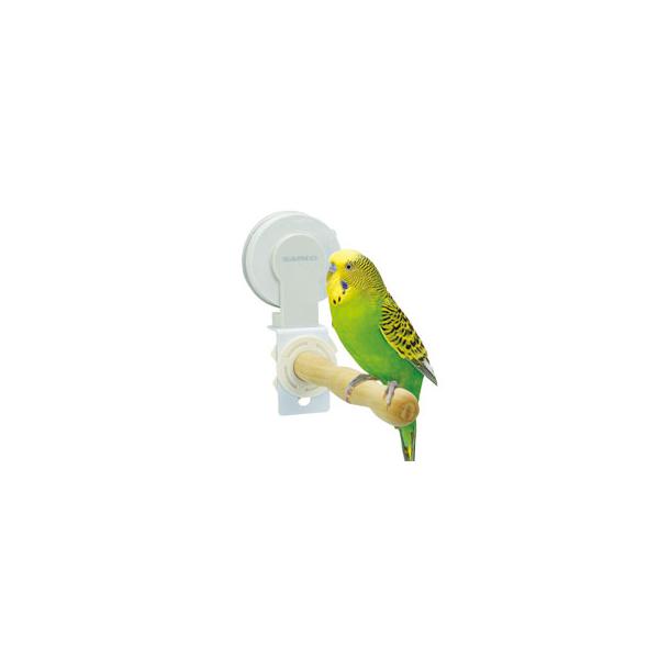 714429000       放鳥タイムの休憩場所