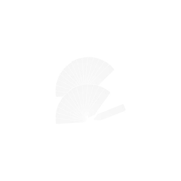 【メール便対応可20個まで】 60mm