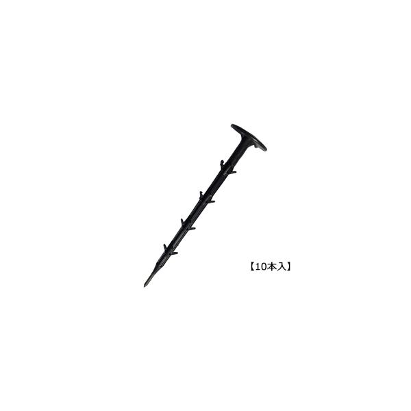 25cm