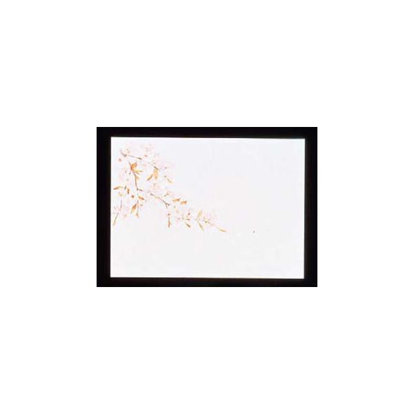 【メール便対応可2個まで】 QHS02