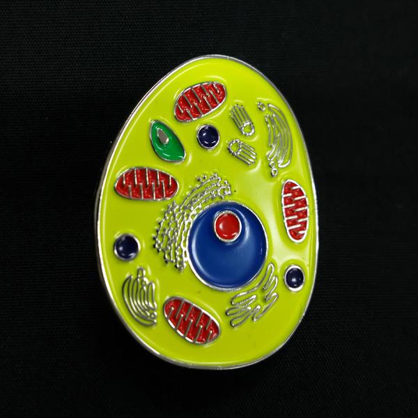 細胞（animal body cell）のピンバッチ。蝶バネ２個で止めるタイプです。透明なカバーのプラスチックケース入り。科学を愛する友人や恩師へのプレゼントにどうぞ。サイズ：約1.25インチ（3.2cm）プラスチックケース入り。