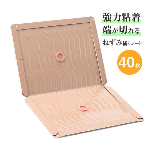【ねずみ捕り 40枚】【乾いた床向き ねずみ駆除 粘着シート】・乾燥した床向き ねずみ捕りシート。・プロも使うネズミ粘着シートで、通ったねずみを とりもちで捕獲・駆除。・天井裏・事務所・倉庫・ビルなどネズミが出る所に設置。衛生的にねずみ駆除...