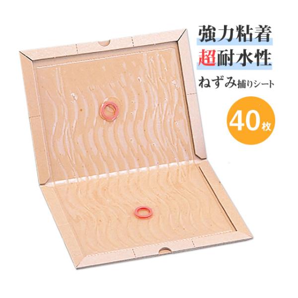 【40枚入】【強耐水紙 水で濡れた床にも強い】・プロも使用 ネズミ駆除用 ねずみ捕り紙。・超耐水性 シート 台紙で厨房 水気の多い床でも 劣化しにくい。・強力な粘着剤、通常より多い/たっぷり量のとりもちで大きなネズミも逃がしません。・厨房 ...