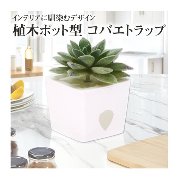 ・殺虫剤不使用のコバエ(ショウジョウバエ・ノミバエ)用トラップ コバエ取りです。・食品由来成分の誘引剤でコバエを誘引し、トラップ内に侵入したコバエを捕獲して駆除します。・コバエ捕りを連想させない多肉植物のデザインのため、人目に付きやすい場所...