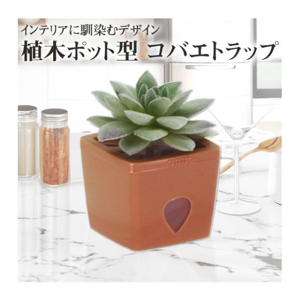 ・殺虫剤不使用のコバエ(ショウジョウバエ・ノミバエ)用トラップ コバエ取りです。・食品由来成分の誘引剤でコバエを誘引し、トラップ内に侵入したコバエを捕獲して駆除します。・コバエ捕りを連想させない多肉植物のデザインのため、人目に付きやすい場所...