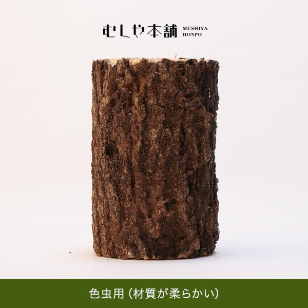 南国の太陽を浴びた安心安全な九州産材です。柔らかい 木に卵を産み付けるクワガタのブリードに！※マット産みのクワガタにも産卵材を使用すると産卵数に効果が！種類：クヌギ用途：クワガタ成虫メスの産卵材　　　ヘラクレス等カブトムシ幼虫のエサ材　　　...