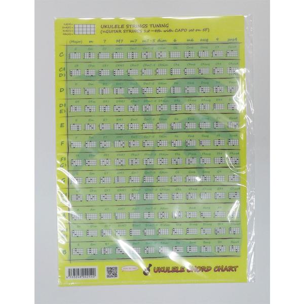 A4サイズの音楽現場での実用性を兼ね備えた、便利なクリヤーホルダーです。裏面ウクレレのコード・フォーム表が掲載されており、表麺は楽譜や書類が見やすいように透明になっています。