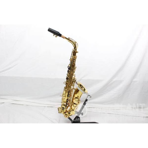 <サックス　アルト> J.Michael AL-500 アウトレット品入荷です!キーの隙間に若干の塗装ムラがある為の、1本限りのアウトレット品!J.Michaelのロングセラーモデル。長年の改善・改良により、使いやすさとコストパ...