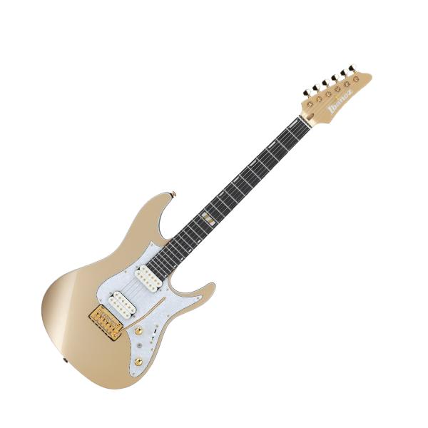 スコット・ルペイジ シグネチャーモデルneck type：AZ Oval C Roasted Maple necktop/back/body：Ash bodyfretboard：Ebony fretboardOff-set white bl...