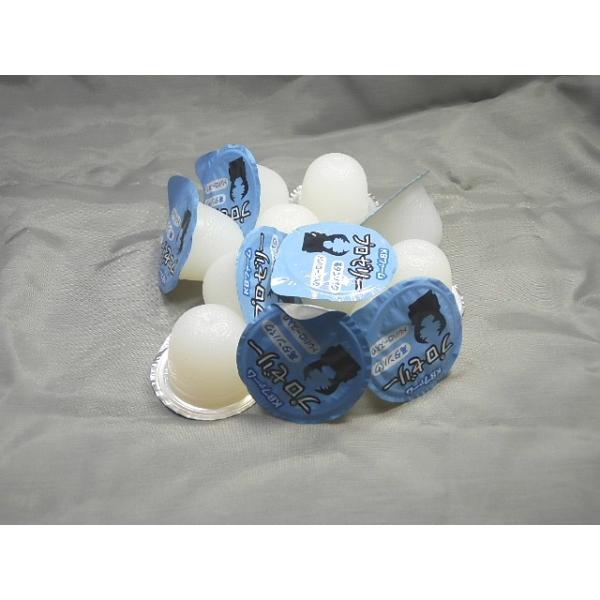 天然果汁をはじめ各種たんぱく質、アミノ酸グルコース、トレハロースその他成分をバランスよく配合しております。 ペアリング、産卵促進、産後の体力回復、長期飼育に効果を発揮します。 カブト、クワガタいずれにも合い、大変食いのいい高たんぱくゼリーです。