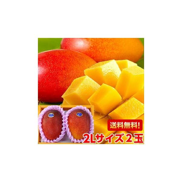■商品内容：宮崎産完熟マンゴー　秀品2Ｌサイズ（350g以上）×２玉母の日メッセージカード・化粧箱入り■送料について：送料無料北海道・沖縄・一部離島1,000円■配送期間：母の日ギフト・・・5月7日〜5月10日まで通常ギフト・・・4月24日...