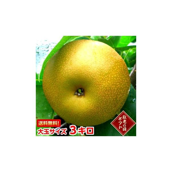 ■商品内容：静岡・愛知・長野産 樹成り完熟豊水梨秀品３kg（5〜10個）…化粧箱入り※「祝 敬老の日」のし紙・メッセージカードつき※その他の用途でご利用の場合は、必ず通常ギフトをご選択ください。■配送について：ヤマト・ゆうパック常温便■送料...